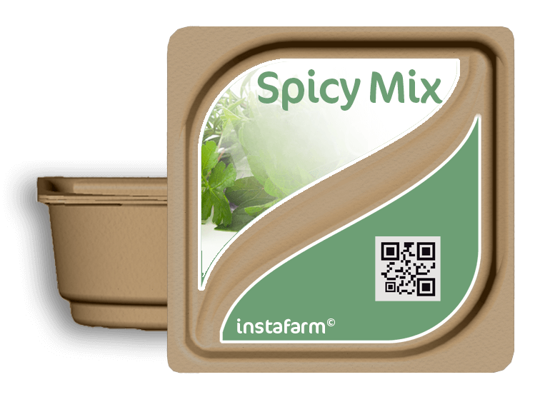 Micro Salad Blend Tray - Instafarm